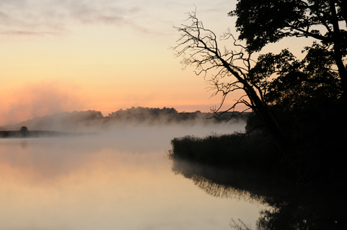 Pictures 2009 (Part Two)